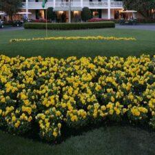 15 Best Golf Courses In Tucson, AZ in 2023 | GolfNow Blog